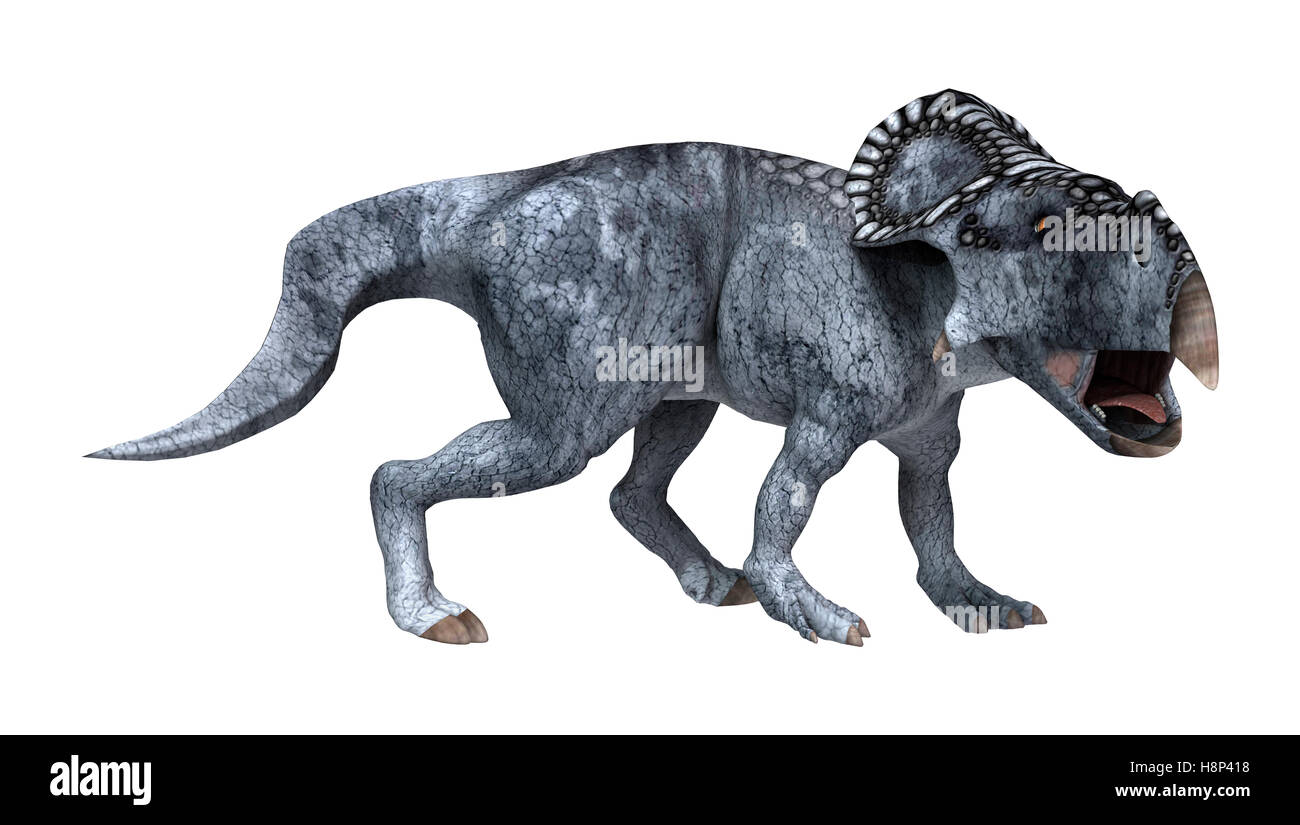 3D rendering of a dinosaur protoceratops isolated on white background ...