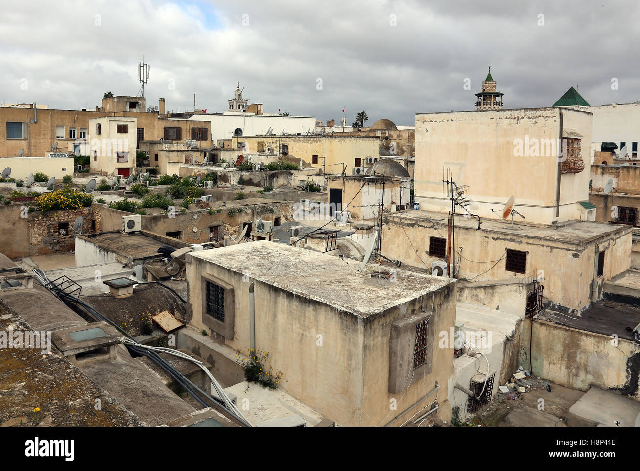 Old Town seen from rooftop, Tunis, Tunisia Stock Photo - Alamy