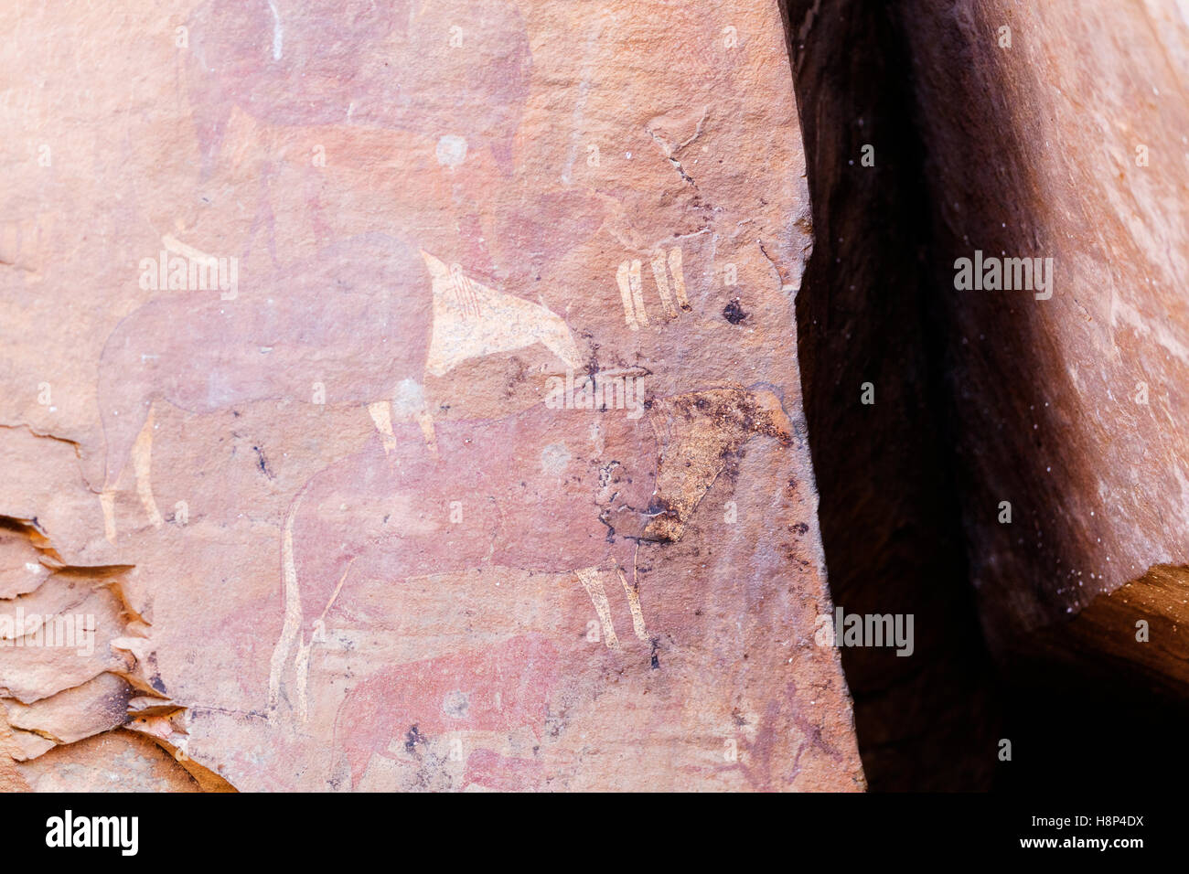 San rock art hi-res stock photography and images - Alamy