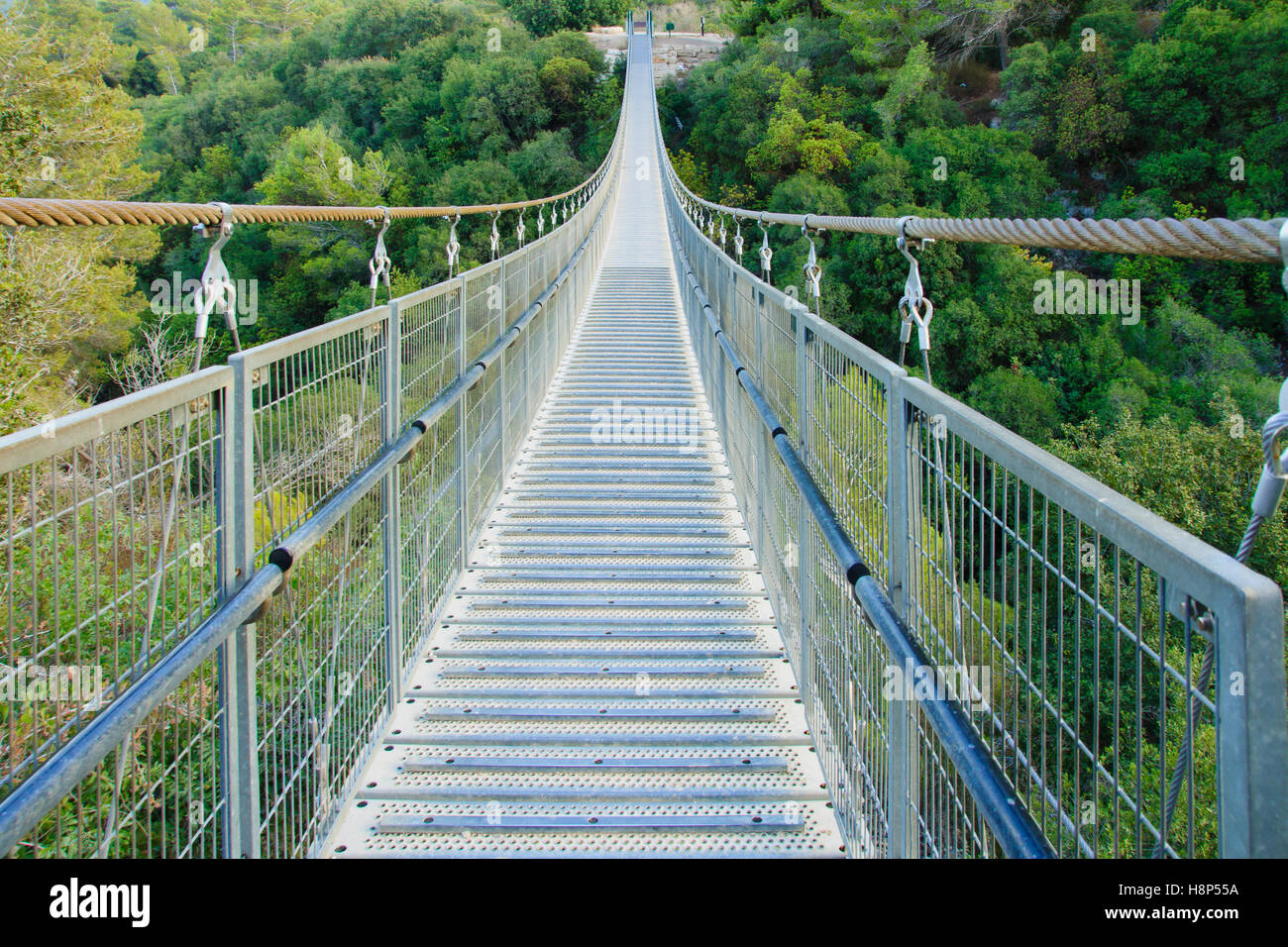 A hanging foot bridge, in Nesher Park, Nesher, Israel Stock Photo - Alamy