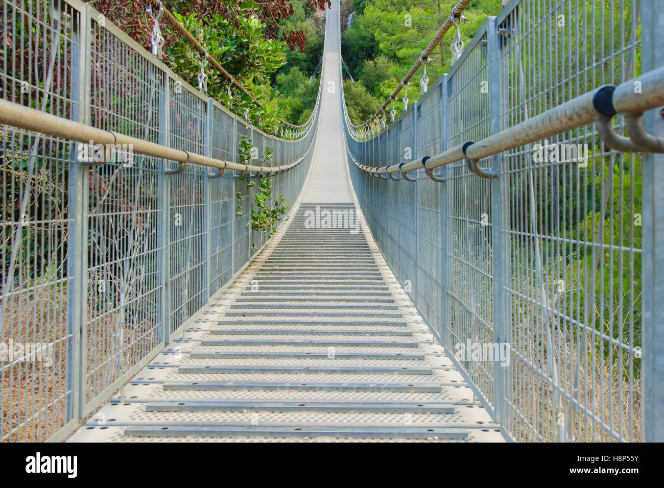 A hanging foot bridge, in Nesher Park, Nesher, Israel Stock Photo - Alamy