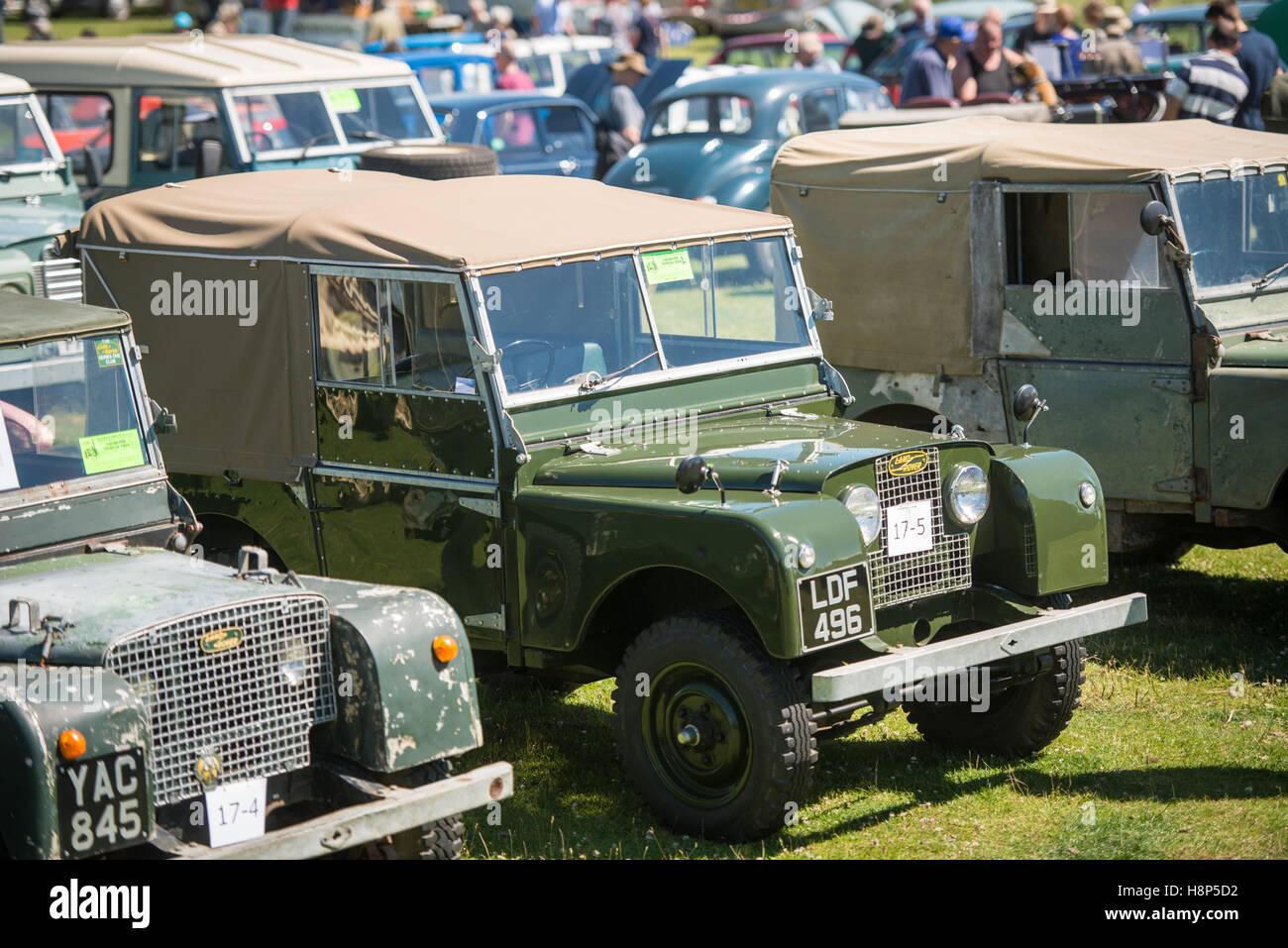 England, Yorkshire - Land Rovers being shown at the Masham Steam Rally ...