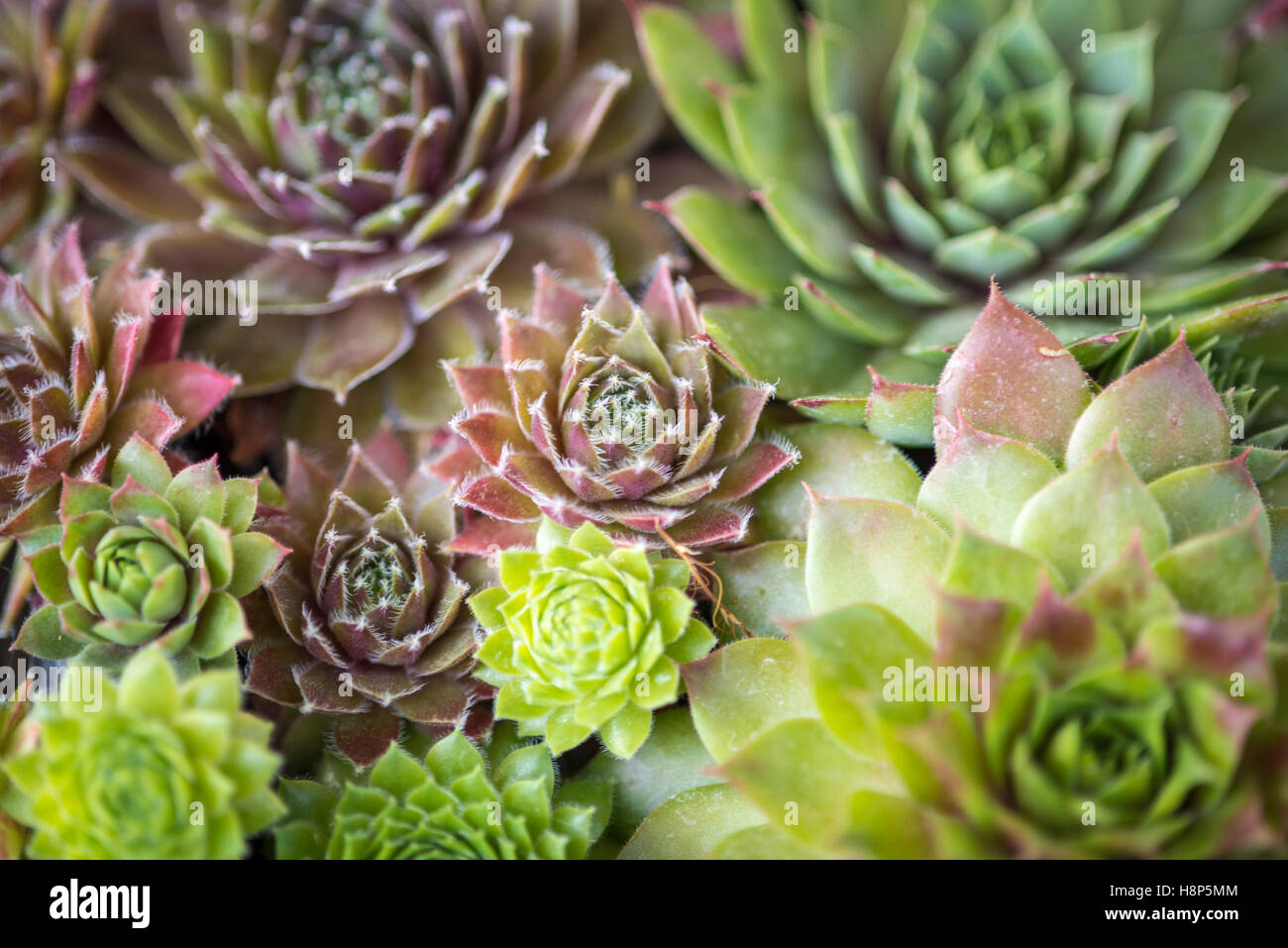 Beautiful historic uk hi-res stock photography and images - Alamy