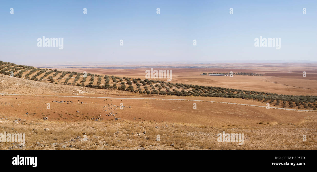 Farmland in Jordan Stock Photo - Alamy