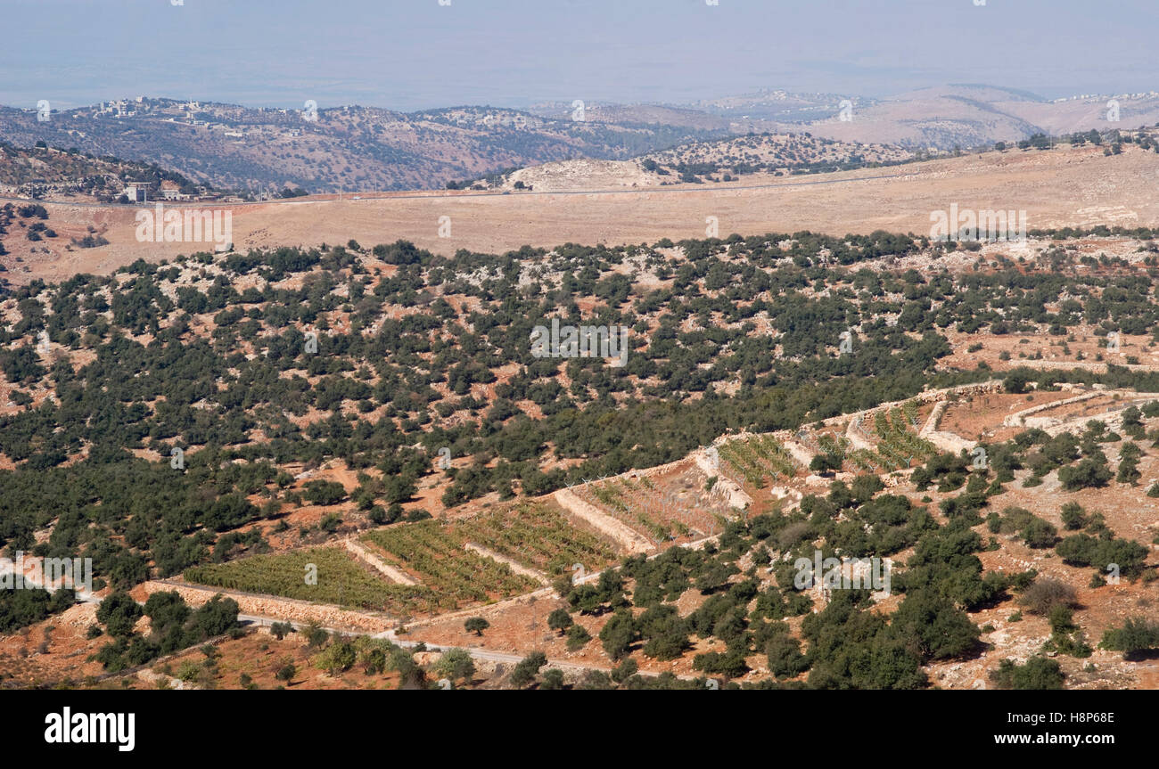 Rural landscape in Jordan Stock Photo - Alamy