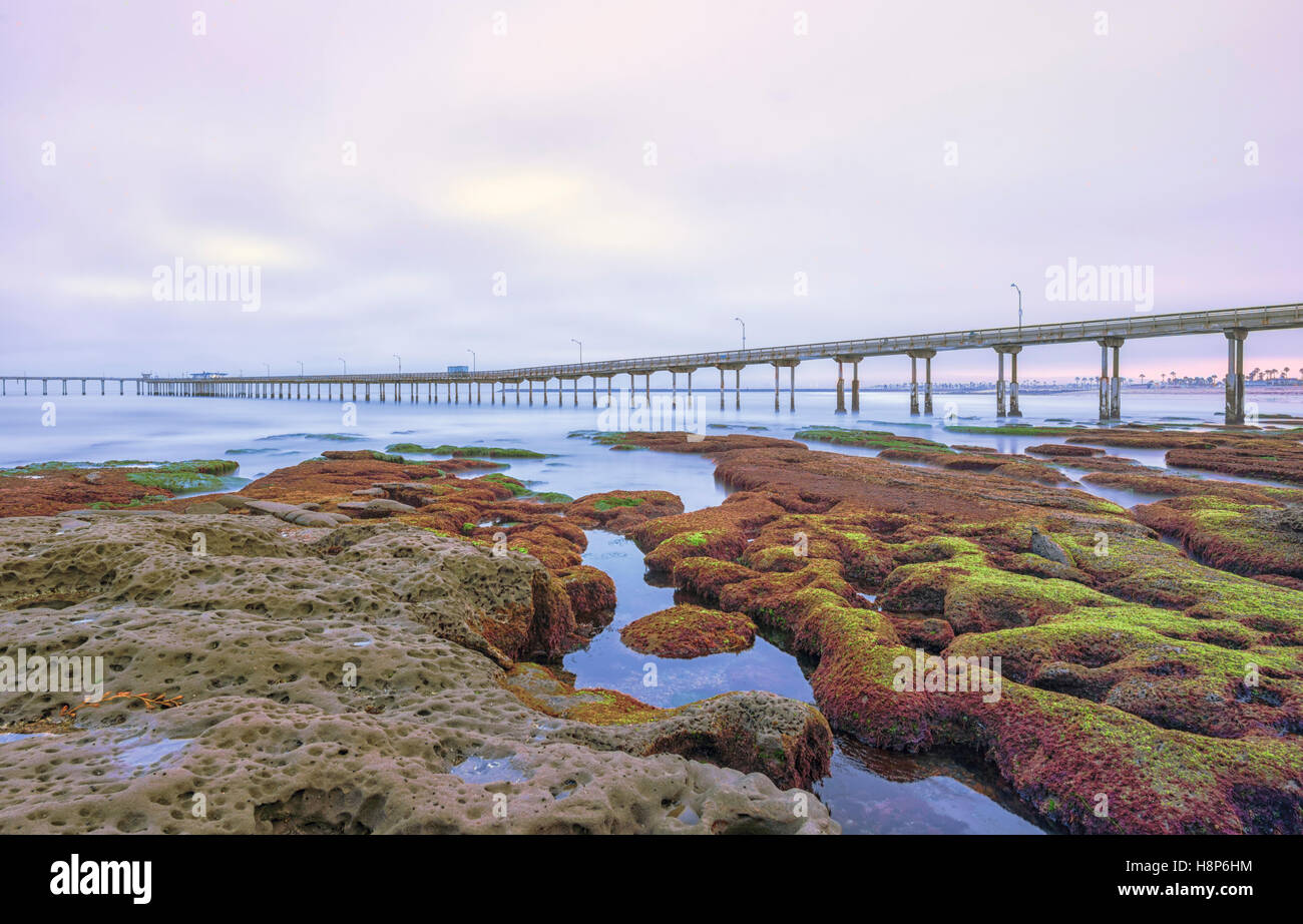 Ocean Beach Pier, tide pools and reef. San Diego, California, USA Stock ...