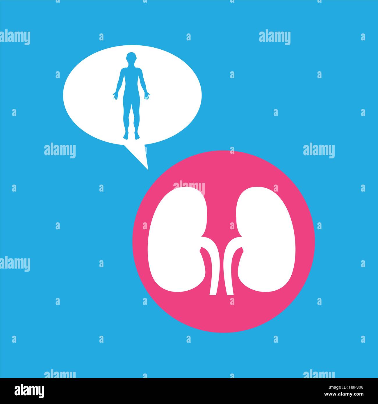 silhouette man kidneys anatomy body vector illustration eps 10 Stock ...