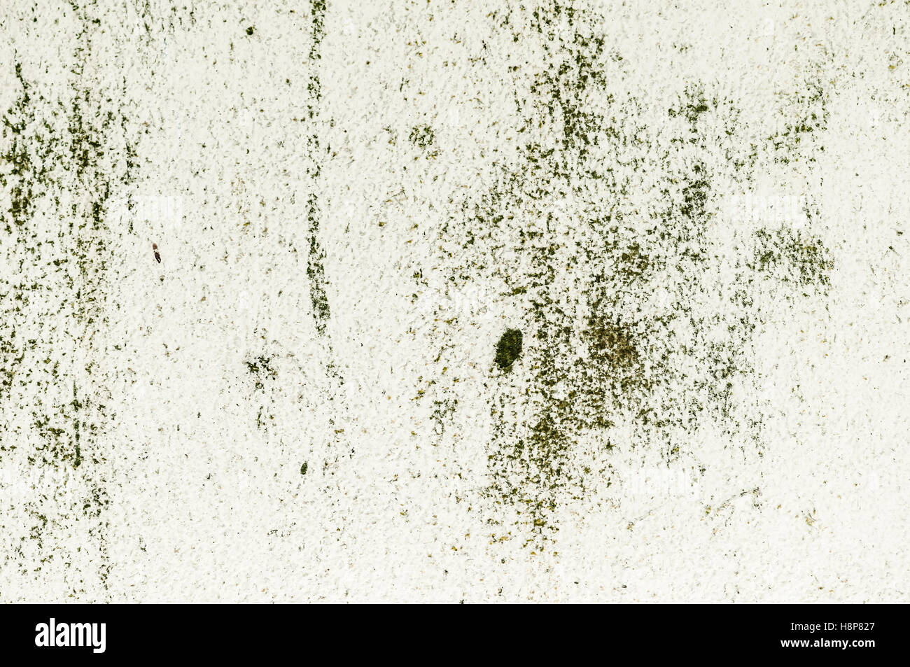 Rustic Grunge Texture