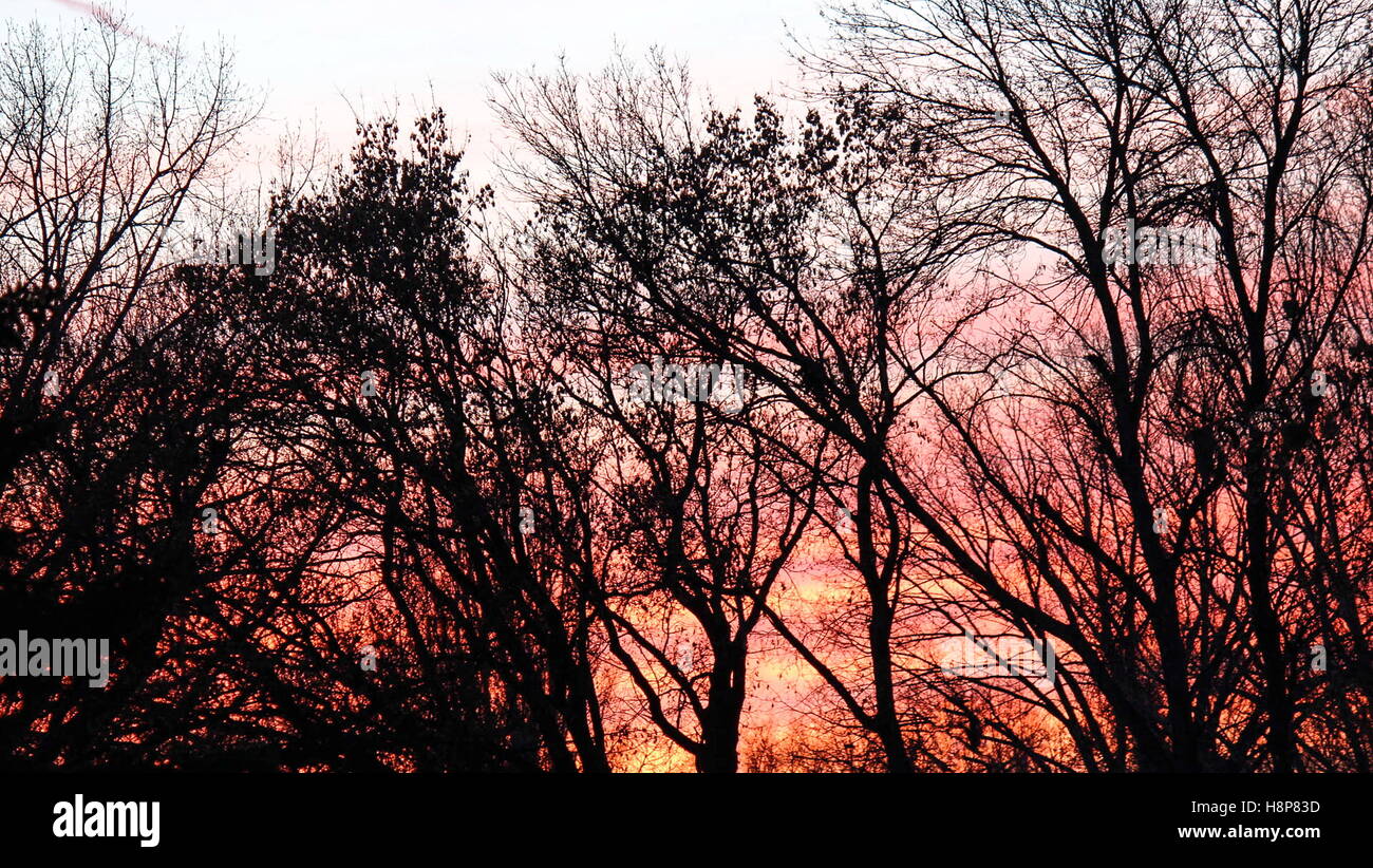 See through overlay hi-res stock photography and images - Alamy