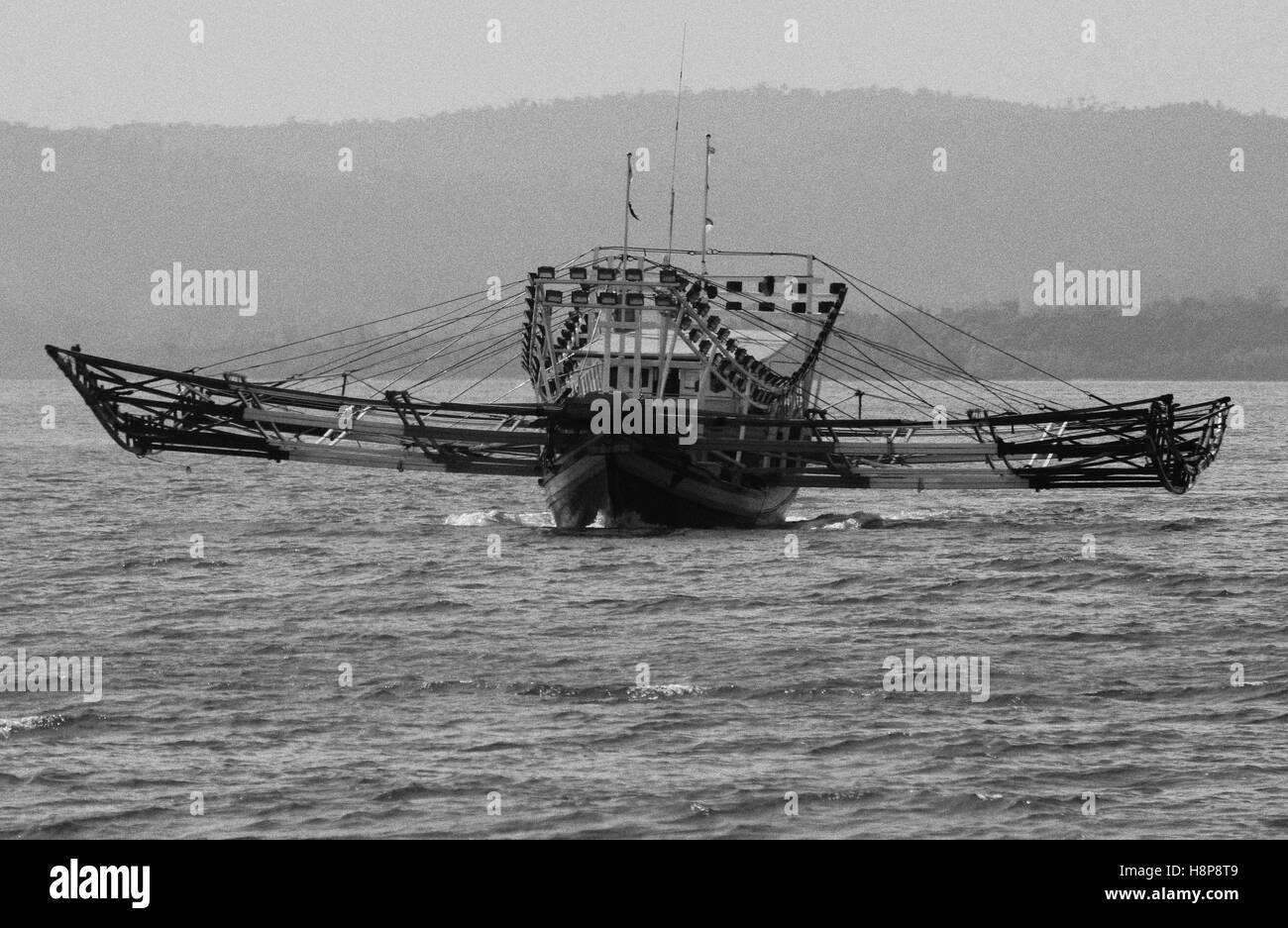 Large winged fish hi-res stock photography and images - Alamy