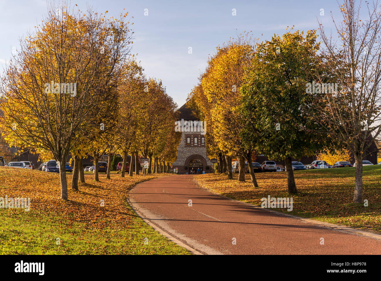 Denbies Wine Estate, Denbies vineyard, Dorking, Surrey, England, UK ...
