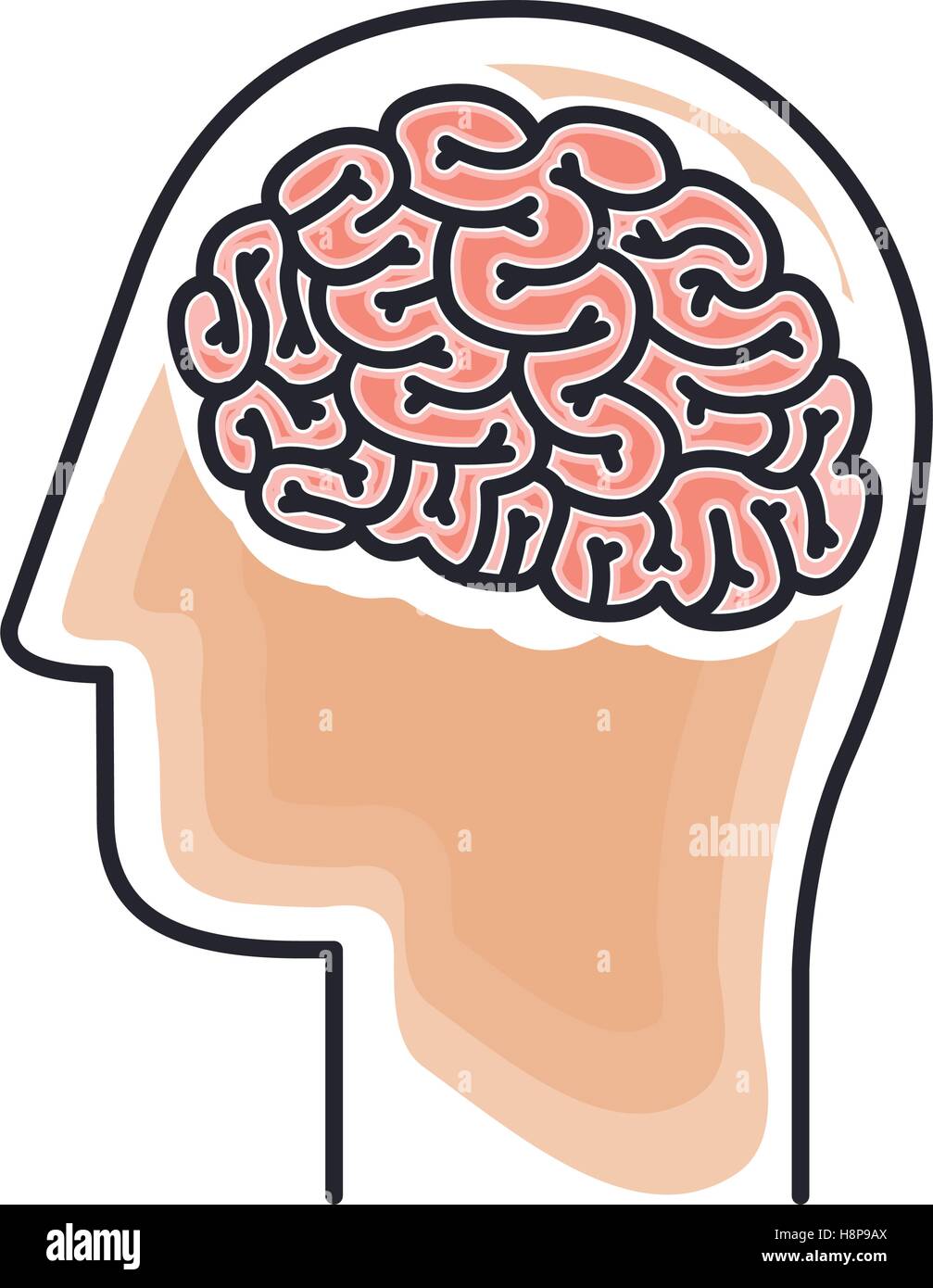 Imagination Brain