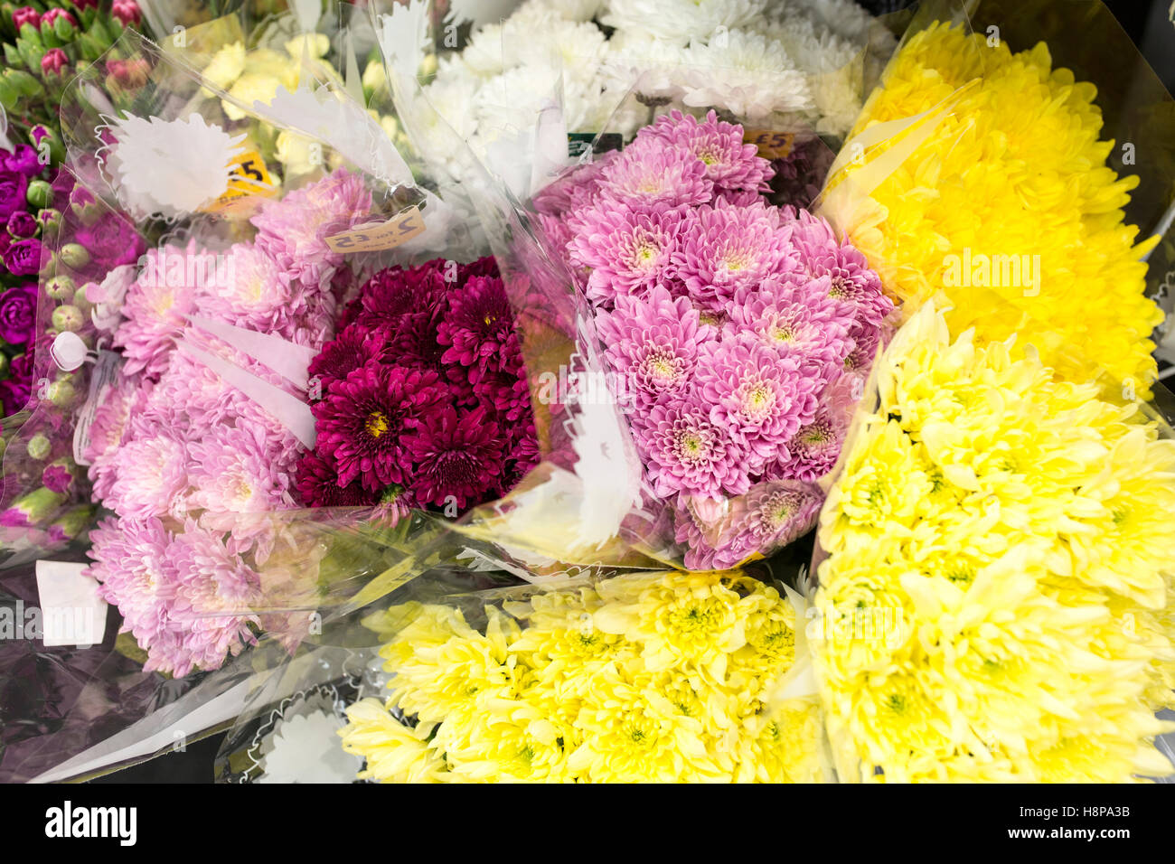 inside a British supermarket store. Flowers for sale Stock Photo - Alamy