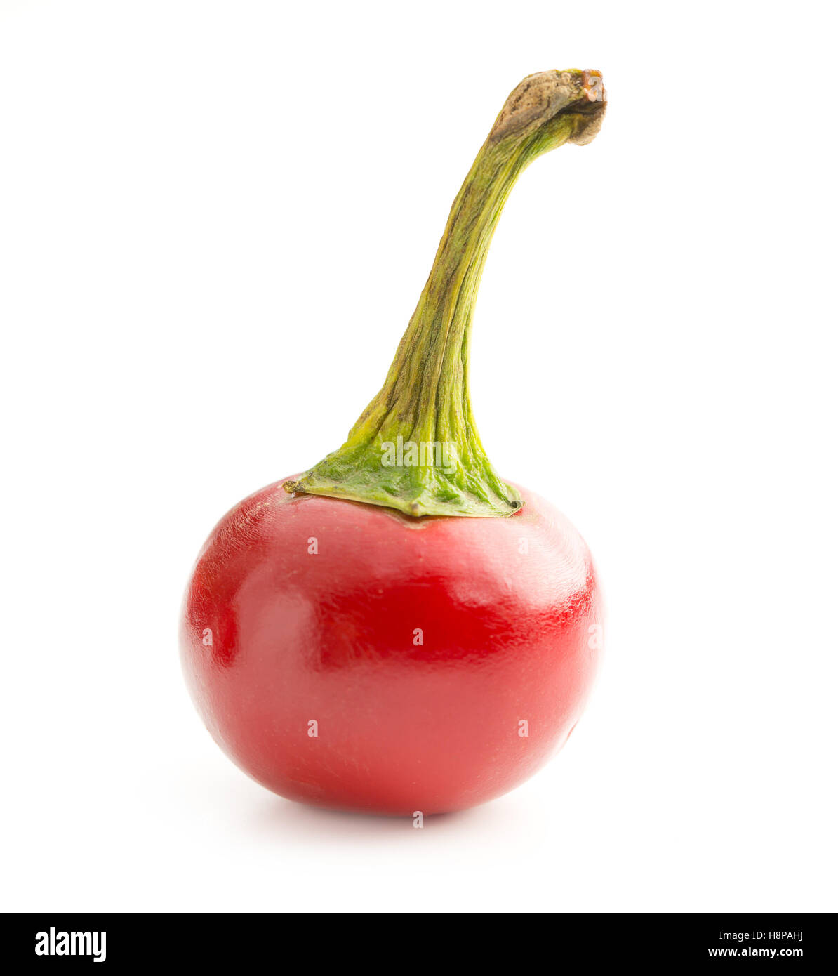 Round chili peppers isolated on white background Stock Photo - Alamy