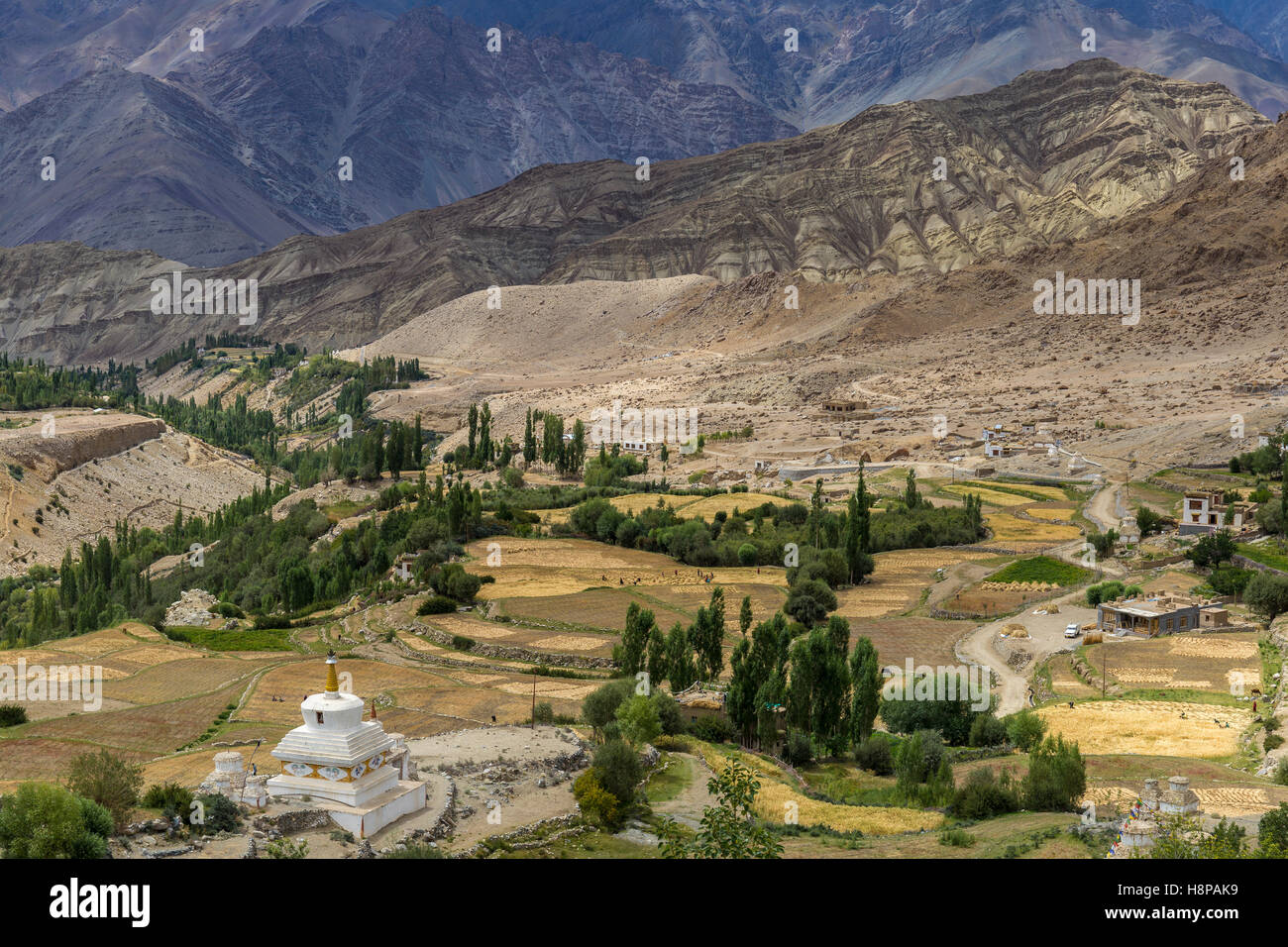 View of the Himalyas from Likir Gompa, Ladakh Stock Photo - Alamy
