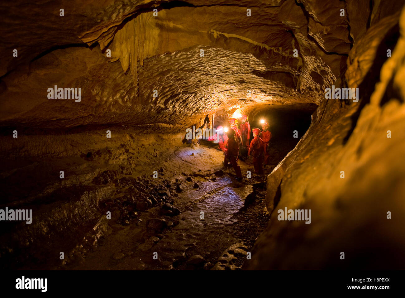 Children on a school caving trip Stock Photo - Alamy