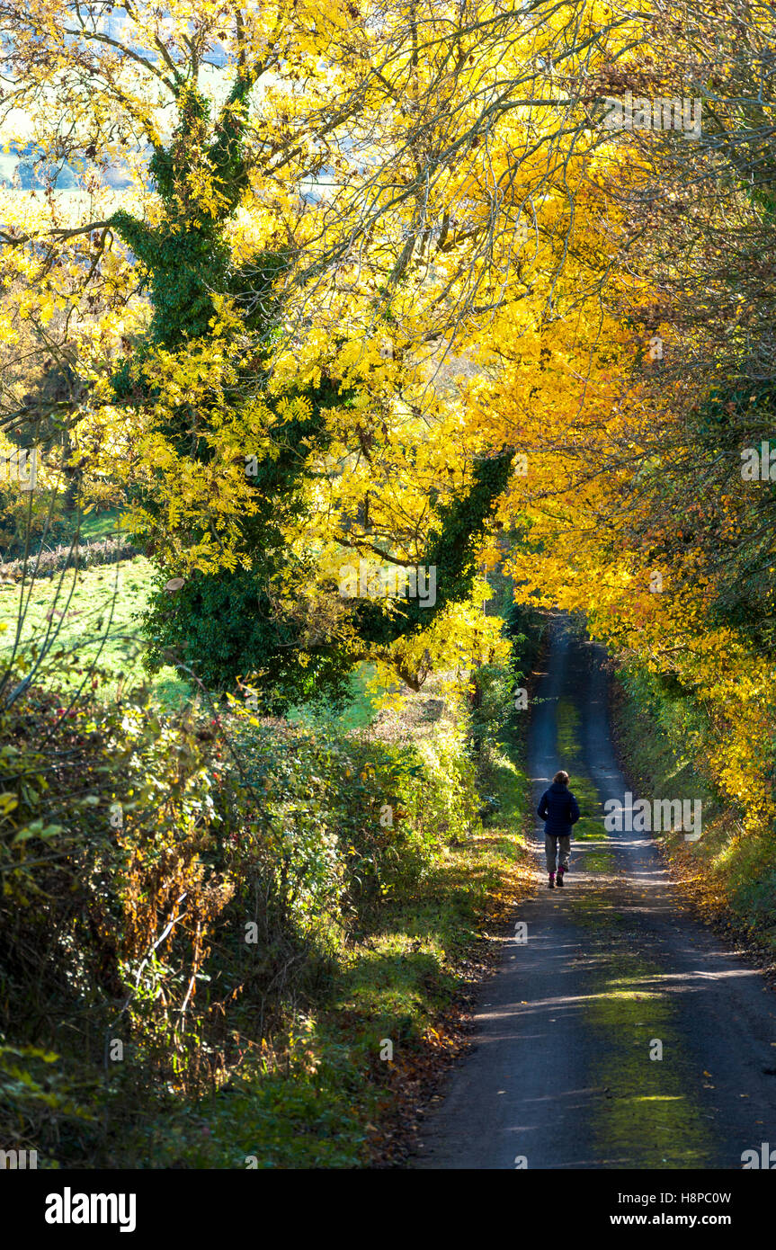 Walking down a country lane near Bath, Somerset, England, UK Stock ...