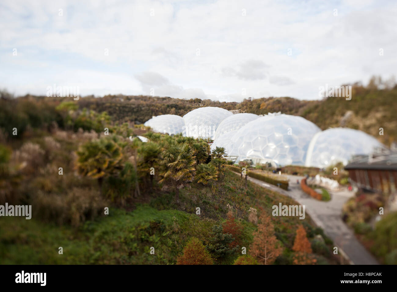 Eden project core building hi-res stock photography and images - Alamy