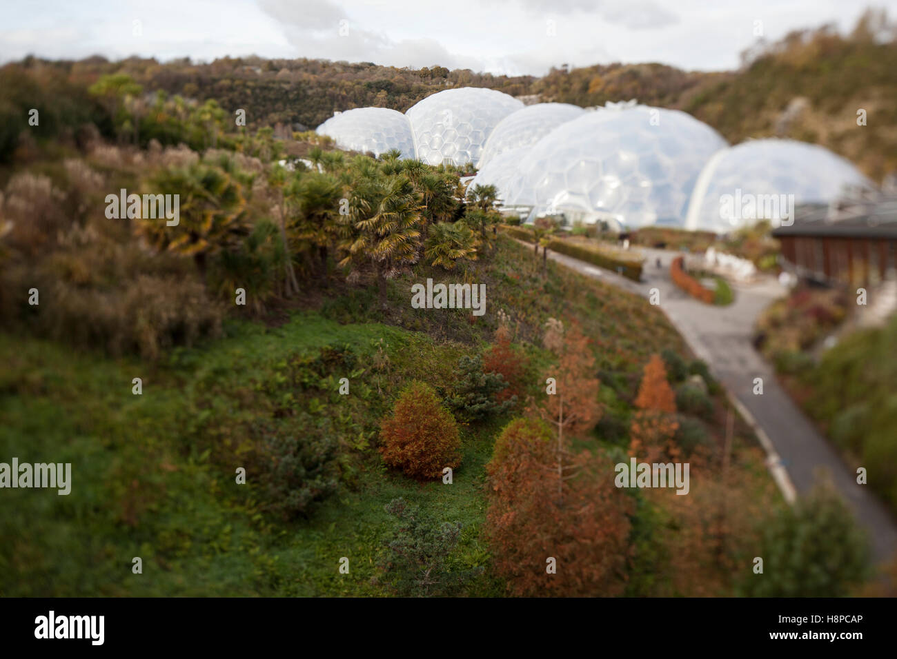 Eden project core building hi-res stock photography and images - Alamy