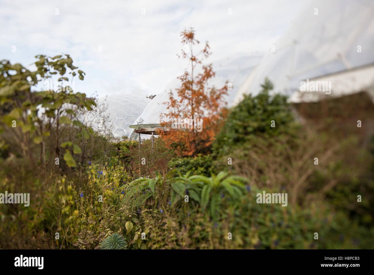 Eden project outside hi-res stock photography and images - Alamy