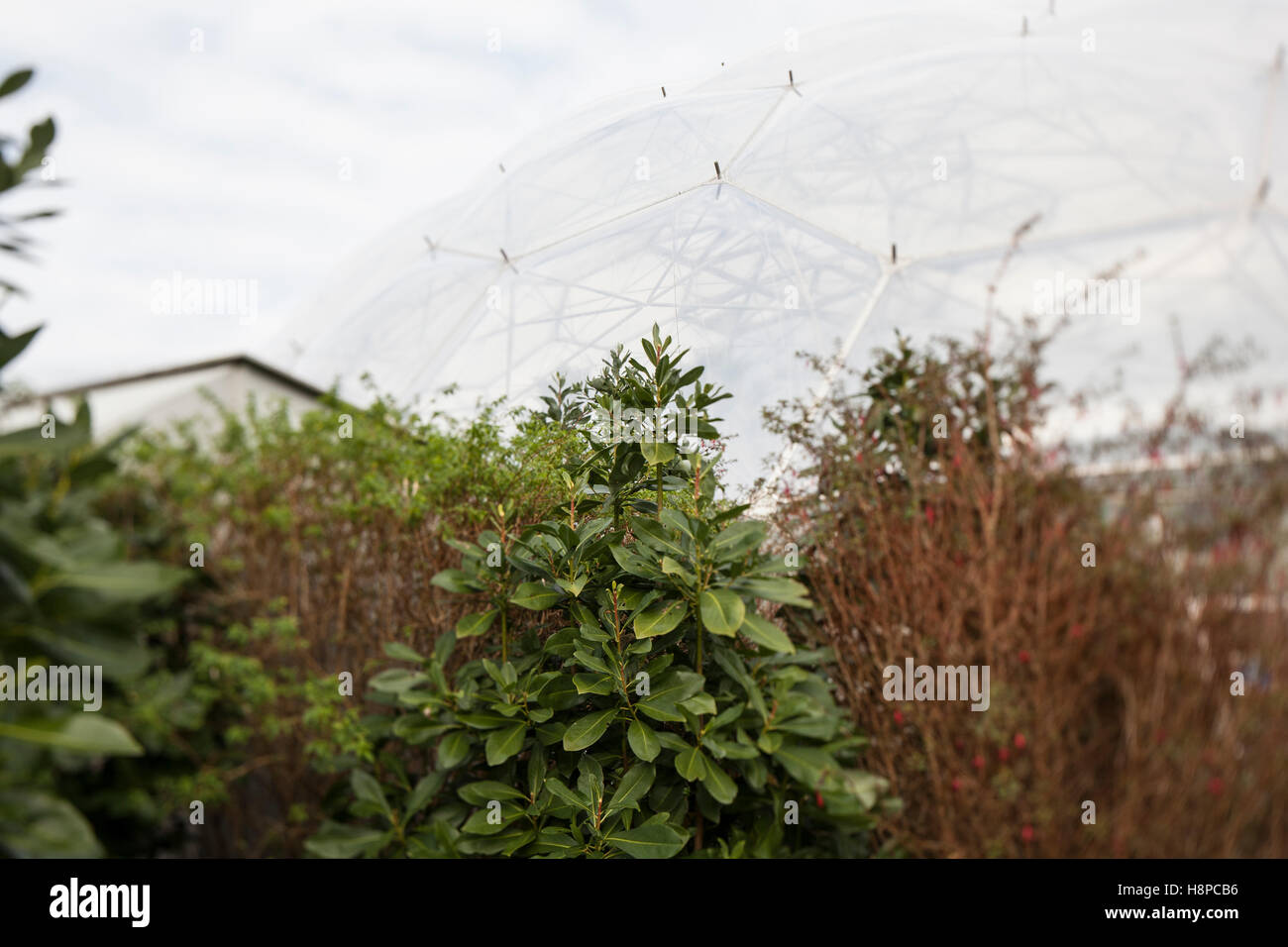 Outside of the Eden Project Biome's Stock Photo - Alamy