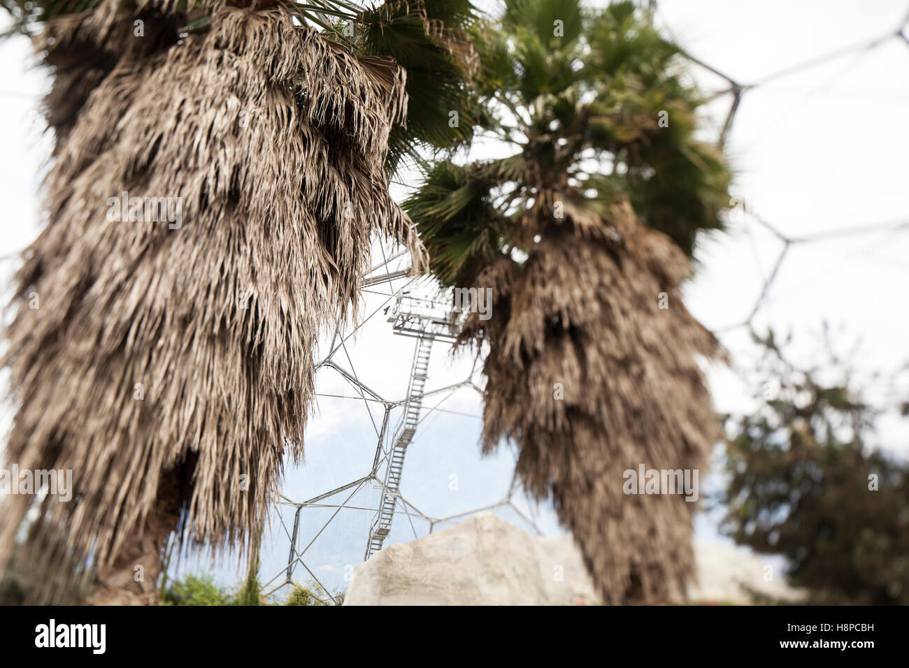 The Eden Project, Med Biome Stock Photo - Alamy