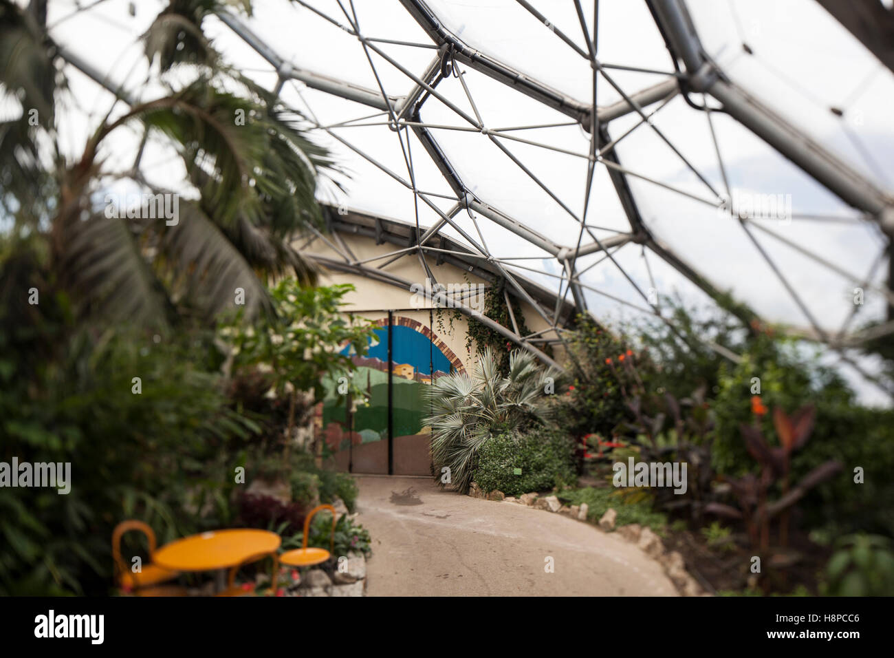 Inside the mediterranean biome at the eden project hi-res stock ...