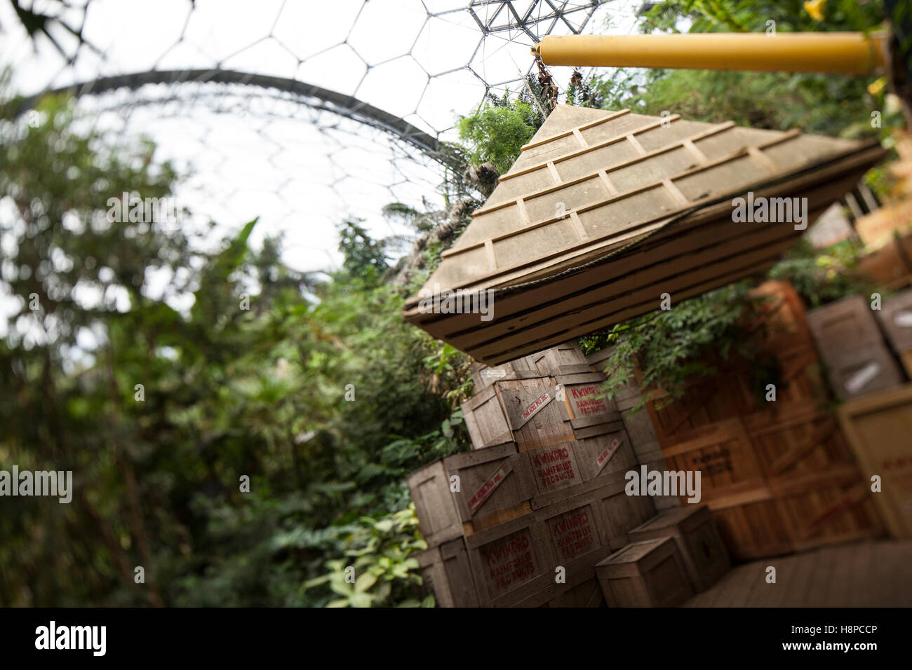 The Eden Project, Rainforest Biome Stock Photo - Alamy