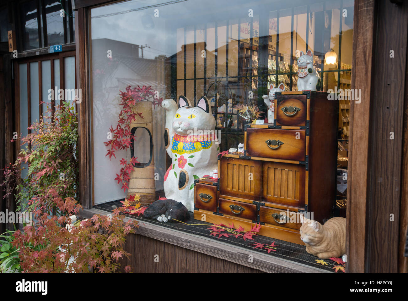 Tokyo pet shop hi-res stock photography and images - Alamy