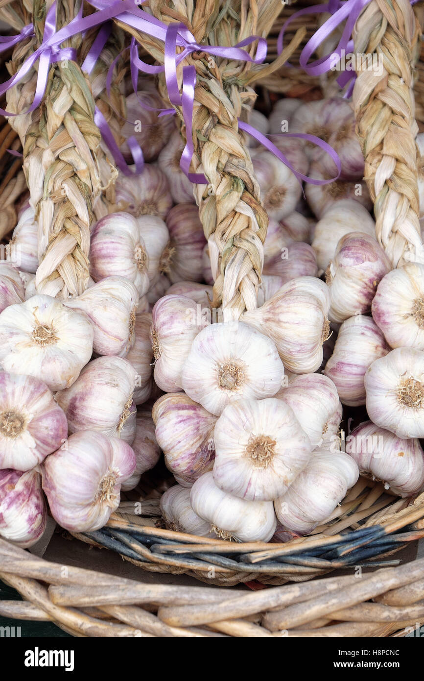 Fresh garlic garlic bulb hi-res stock photography and images - Alamy
