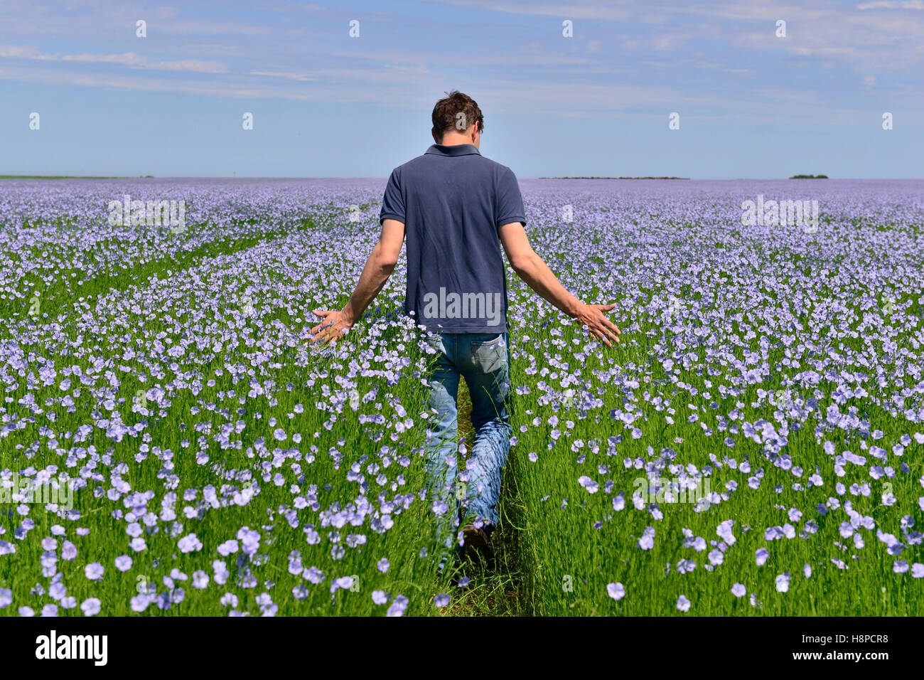 Particles fragments hi-res stock photography and images - Alamy