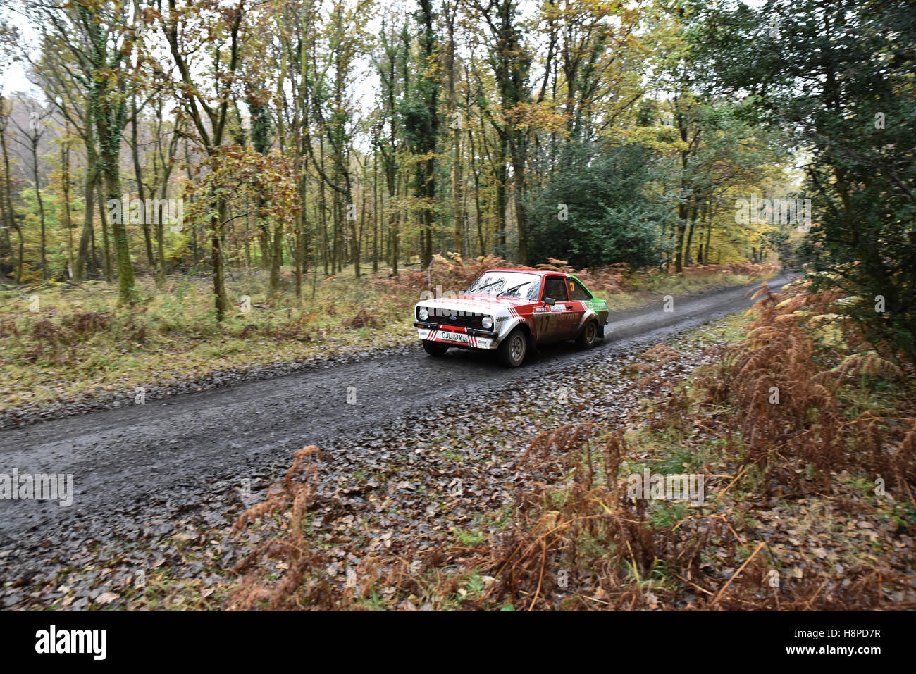 A rally car on the Crabtree stage of the 2016 Wyedean Rally in the ...