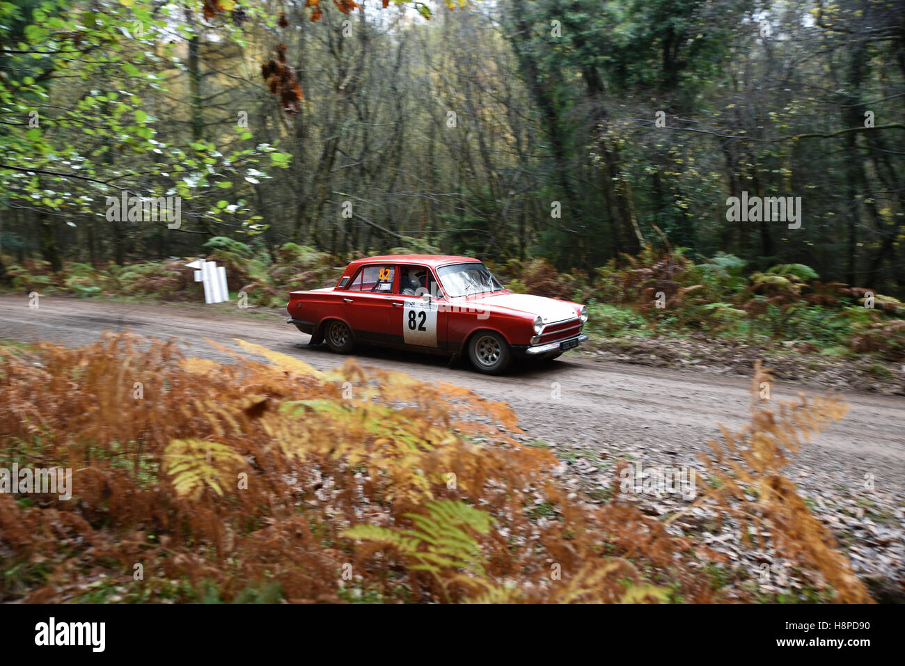 A rally car on the Crabtree stage of the 2016 Wyedean Rally in the ...