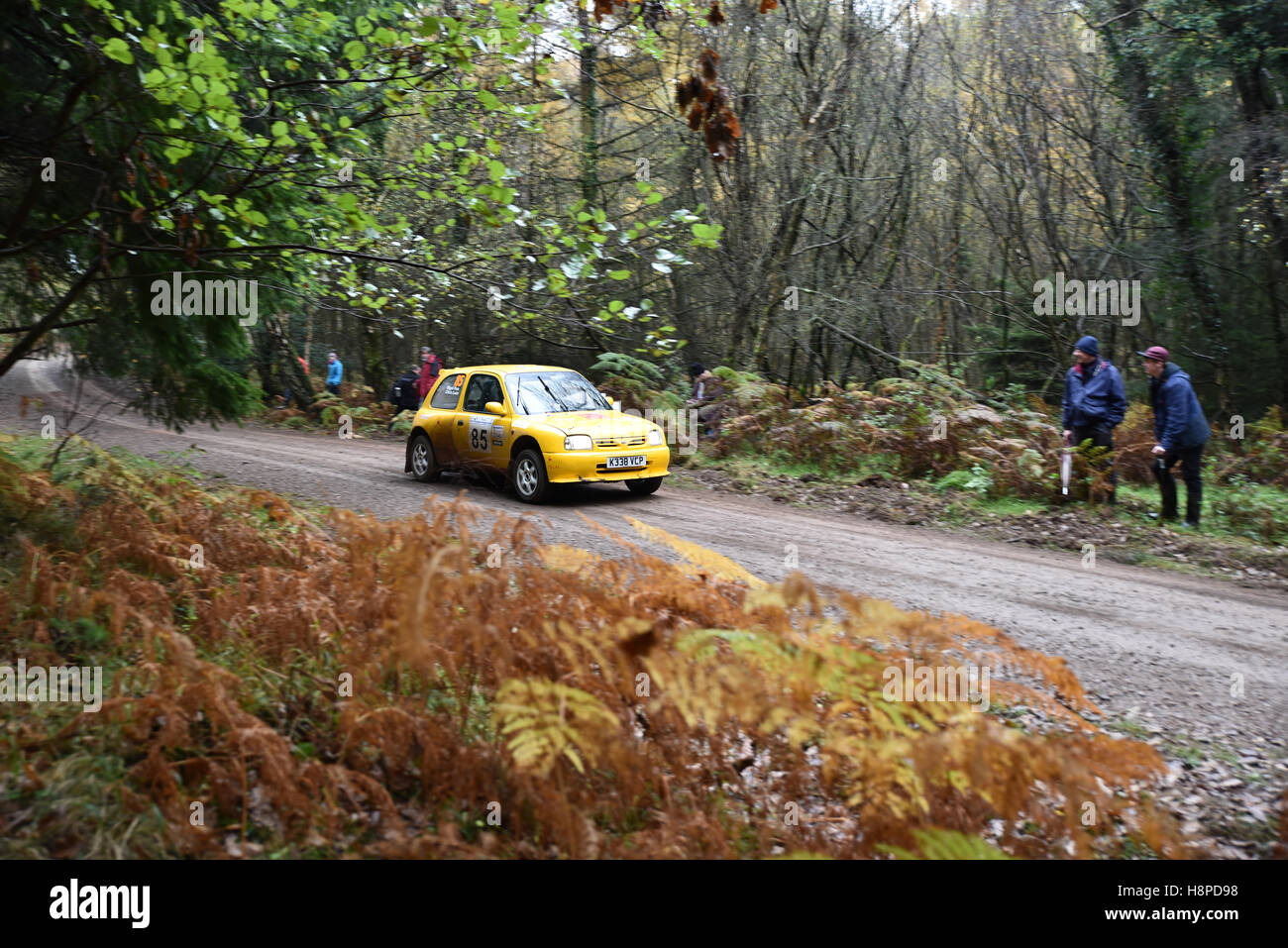 A rally car on the Crabtree stage of the 2016 Wyedean Rally in the ...