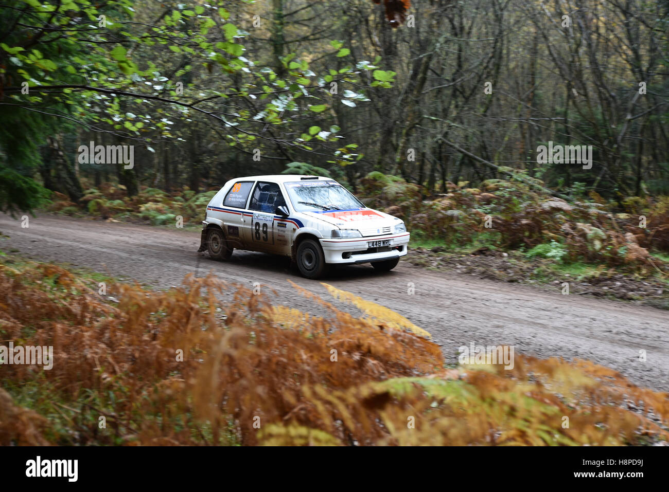 A rally car on the Crabtree stage of the 2016 Wyedean Rally in the ...
