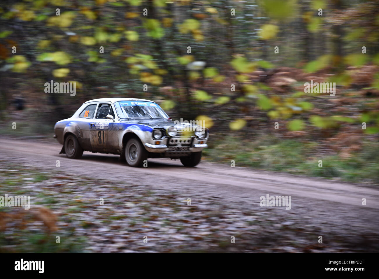 A rally car on the Crabtree stage of the 2016 Wyedean Rally in the ...