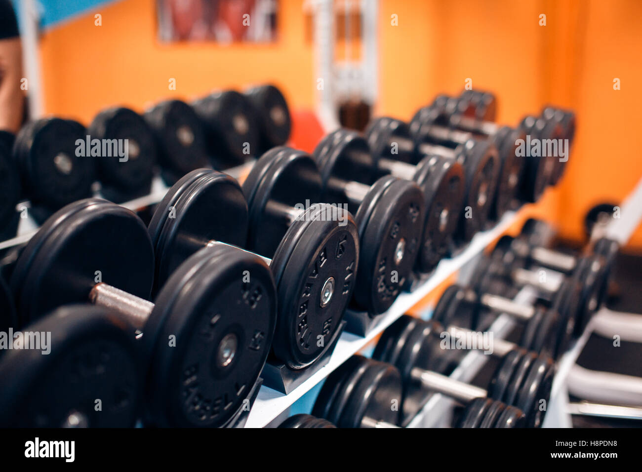 Heavy dumbbells in modern sports club Stock Photo - Alamy