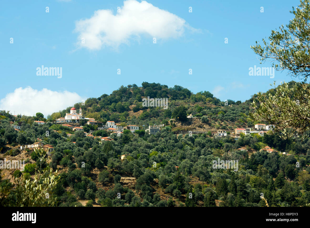 Griechenland, Kreta, Bergdorf Lakkoi südwestlich von Chania Stock Photo ...