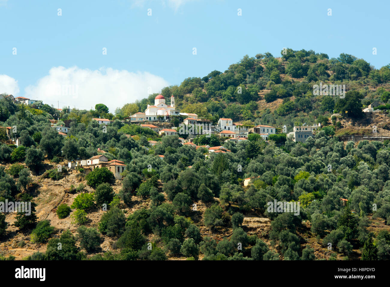 Kreta wald hi-res stock photography and images - Alamy