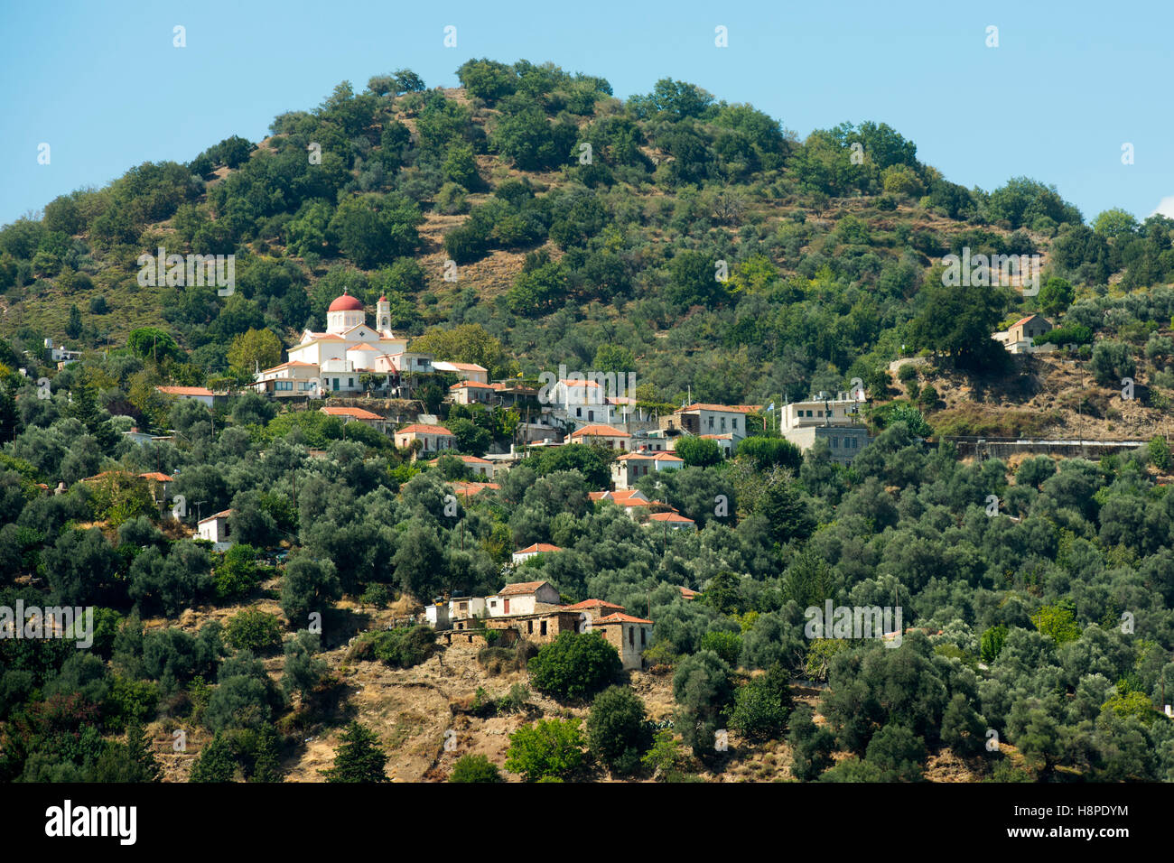 Kreta wald hi-res stock photography and images - Alamy