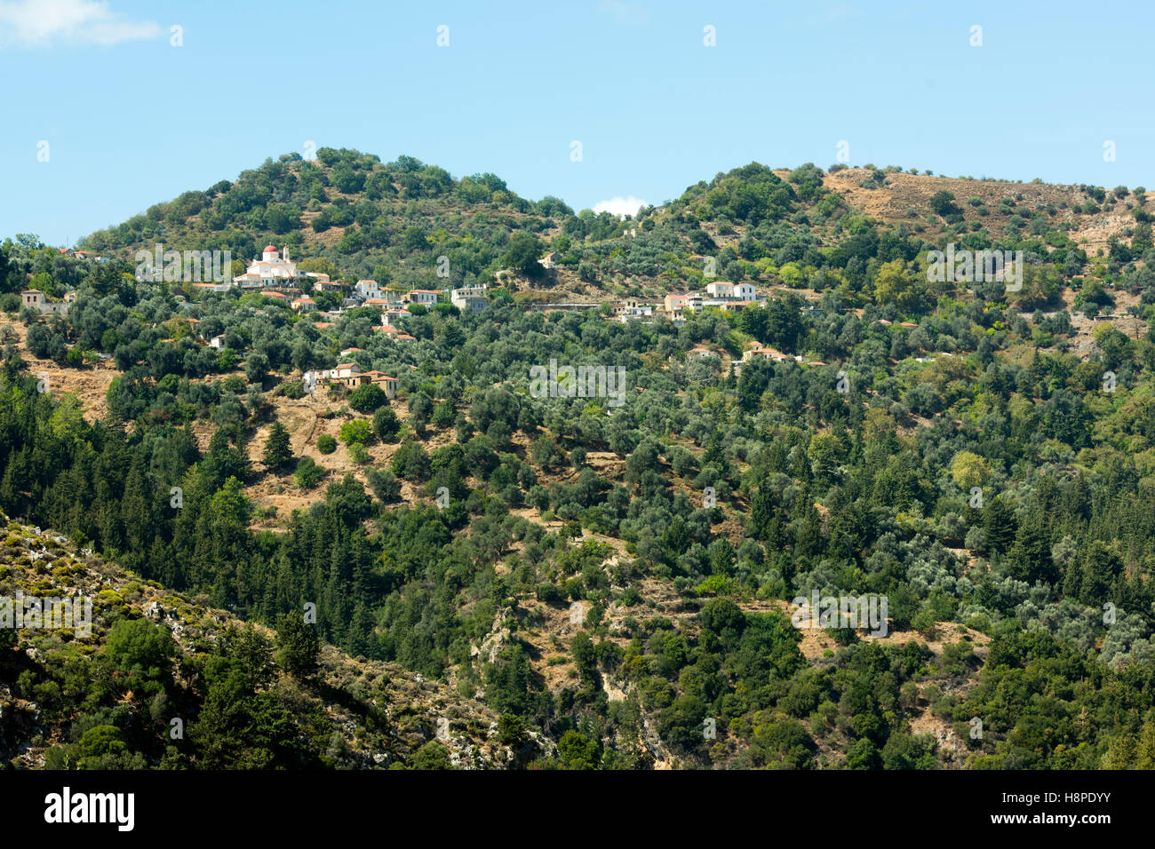 Kreta wald hi-res stock photography and images - Alamy