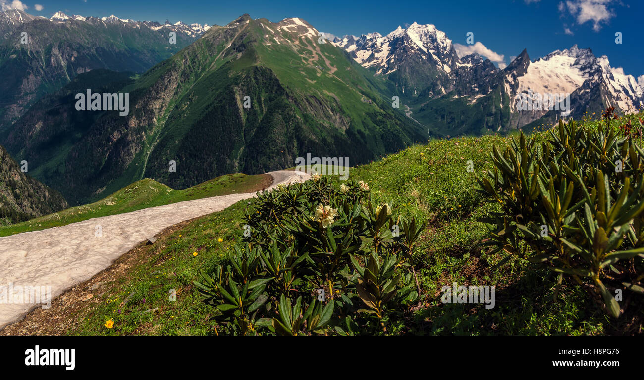 In the mountains of the Caucasus Stock Photo - Alamy