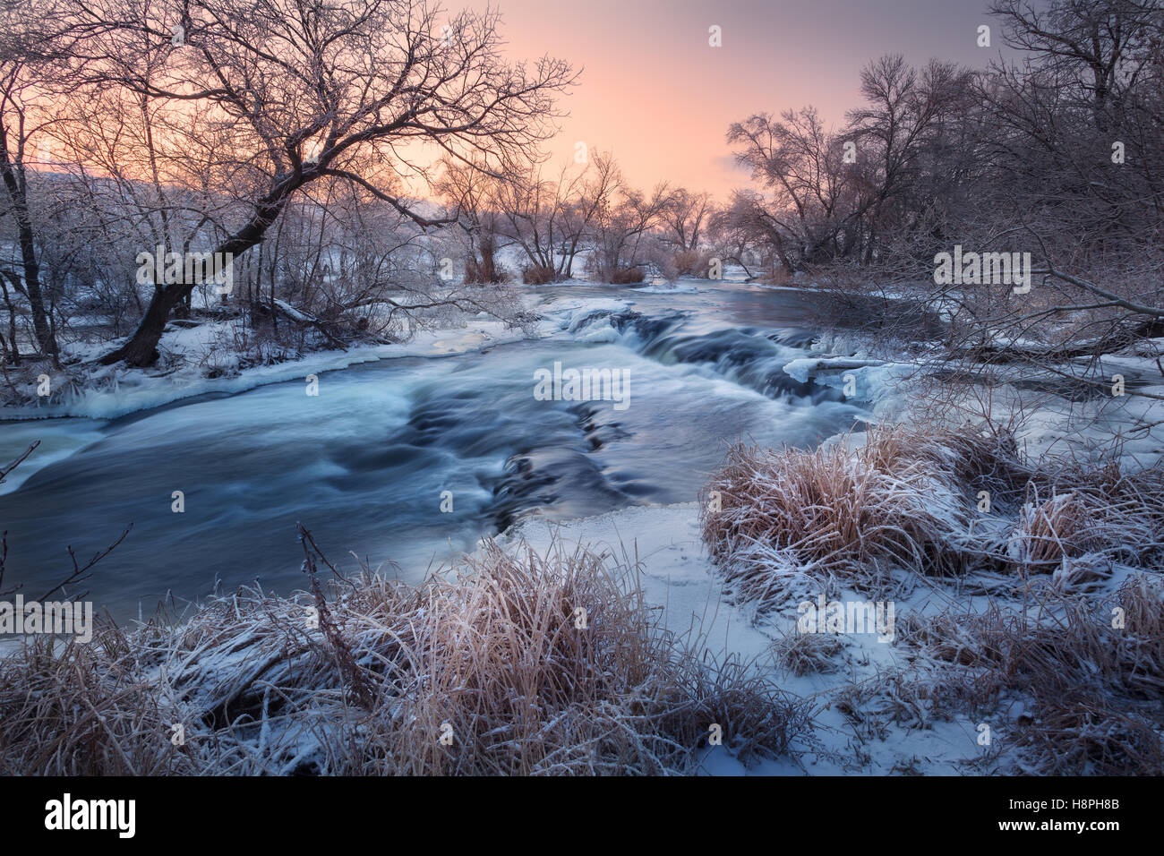 Winter landscape with snowy trees, beautiful frozen river and bushes at ...
