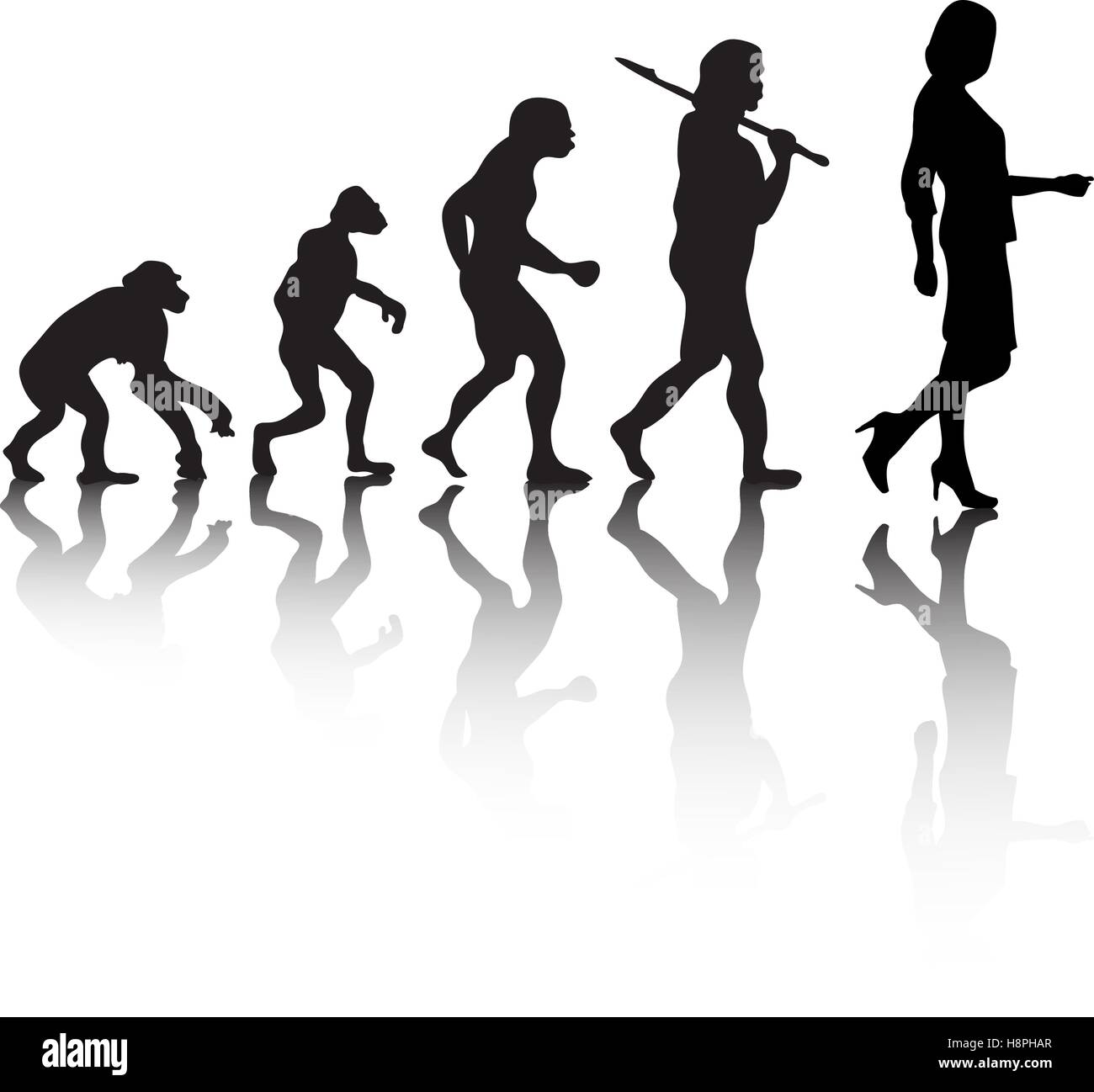 The evolution, silhouette people. Darwin s theory. Vector illustration ...