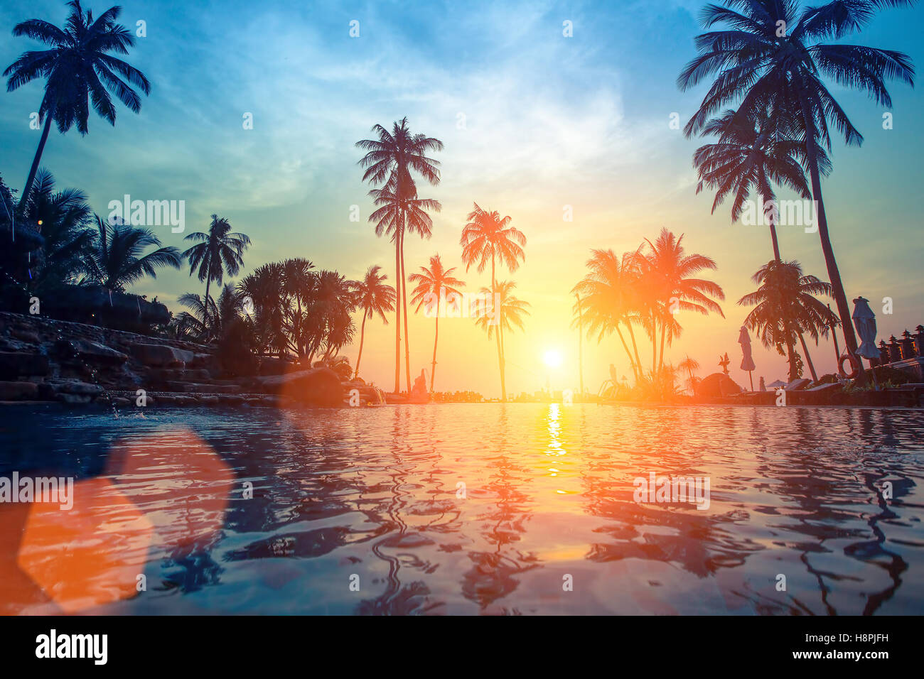 Palm trees reflection in the water on a tropical seaside during sunset ...