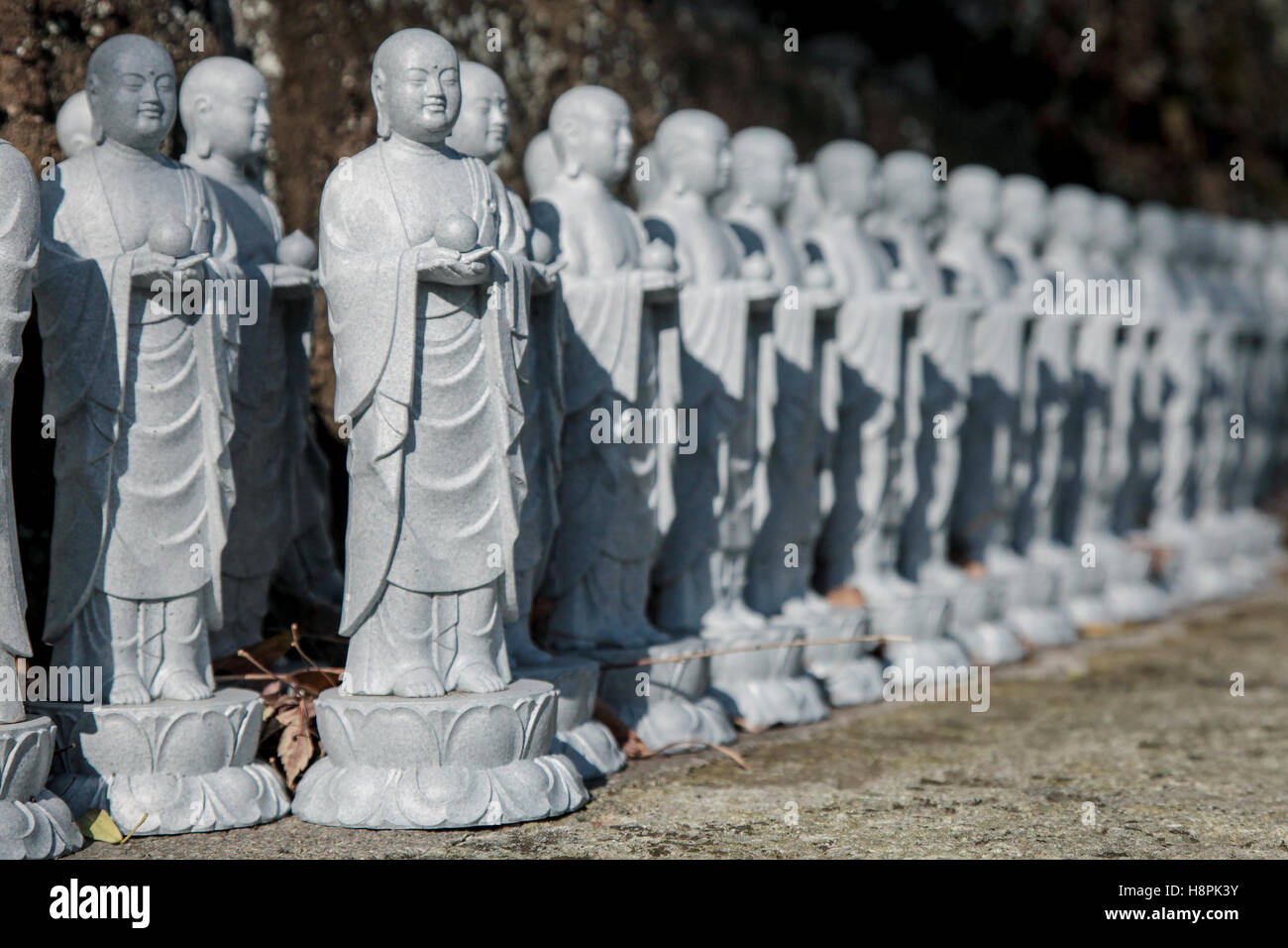 Multiple buddha statues in Japanese temple Stock Photo - Alamy