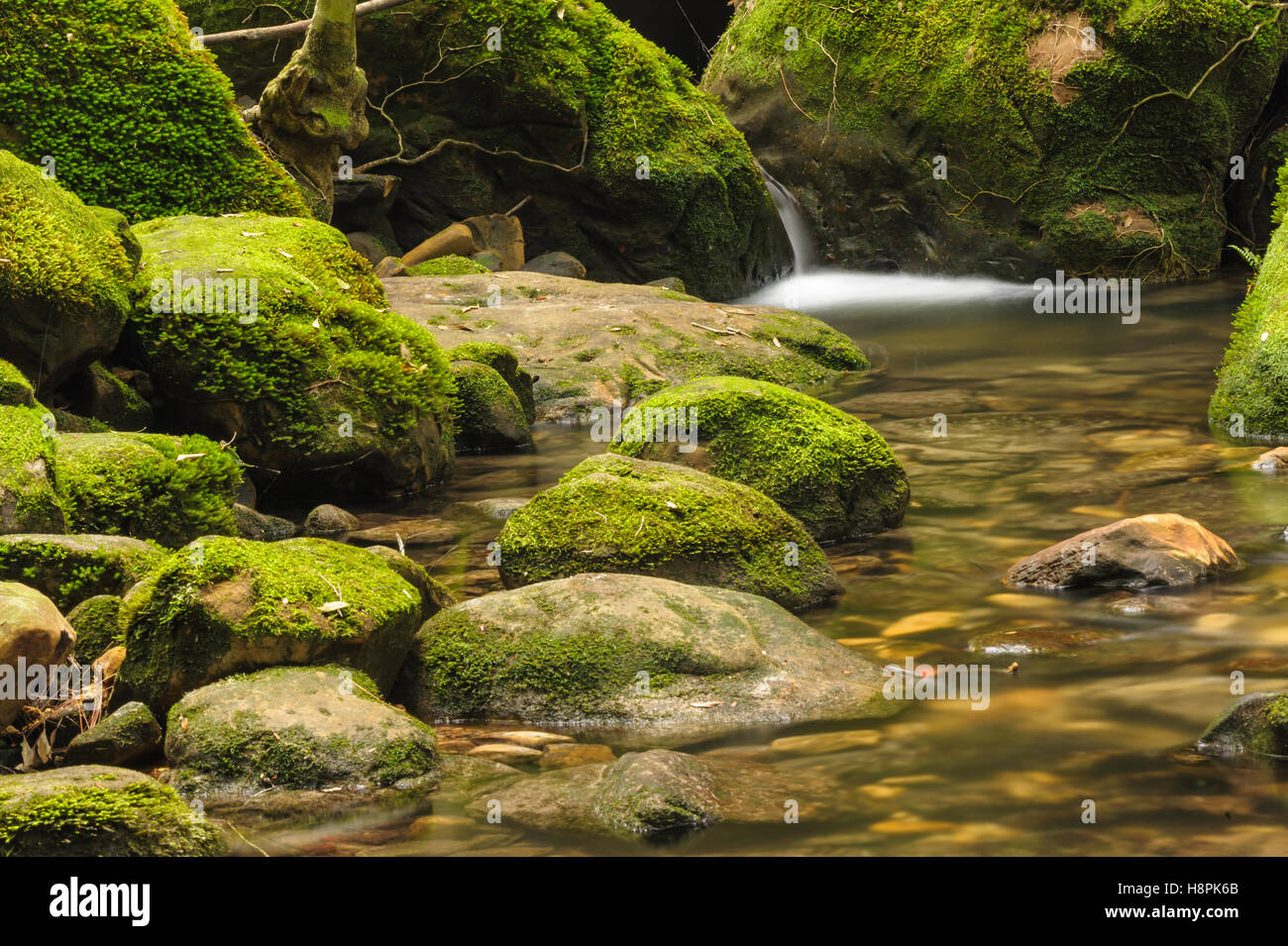 Moss covered rocks near little waterfall in rains forest, Thailand ...