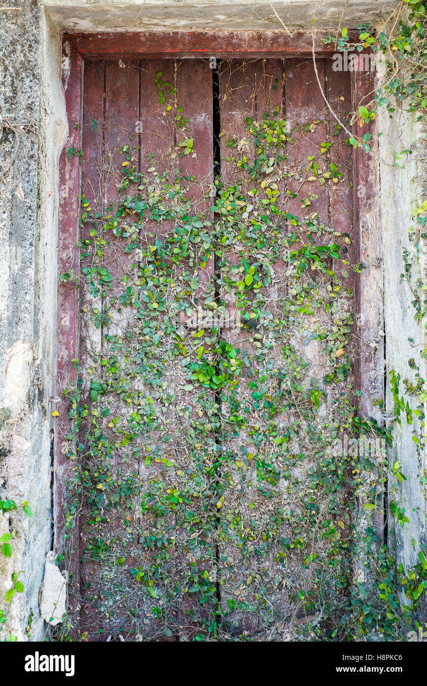 Front view of old wooden door, Asia Stock Photo - Alamy