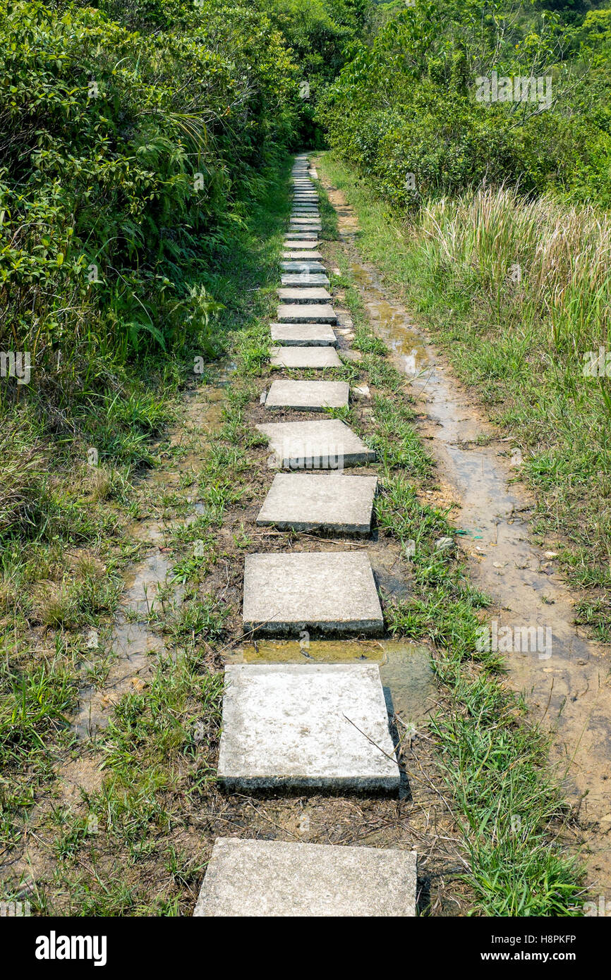 Pathway stone hi-res stock photography and images - Alamy