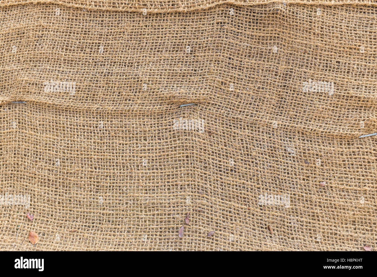 Creased Linen with rough texture Stock Photo - Alamy